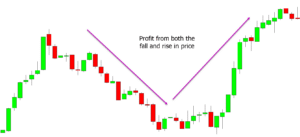 Stock Market Basics PDF and Free Guide